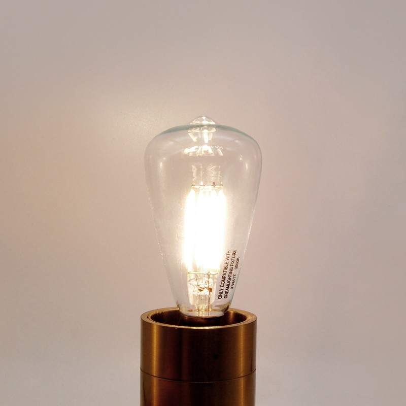 12V Edison Bulb Ceiling Light RV, LED Replace Globe Roof Lamp, 12V ...